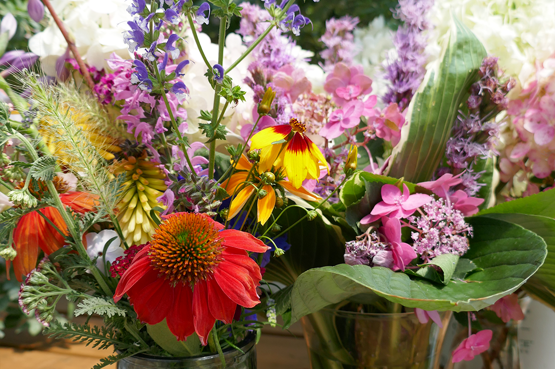 Plants For Cutting Gardens | Online Plant Nursery – Great Garden Plants