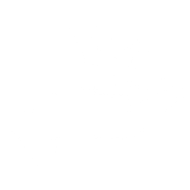 Perfecto Mundo® Red Reblooming Azalea | Proven Winners – Great Garden ...