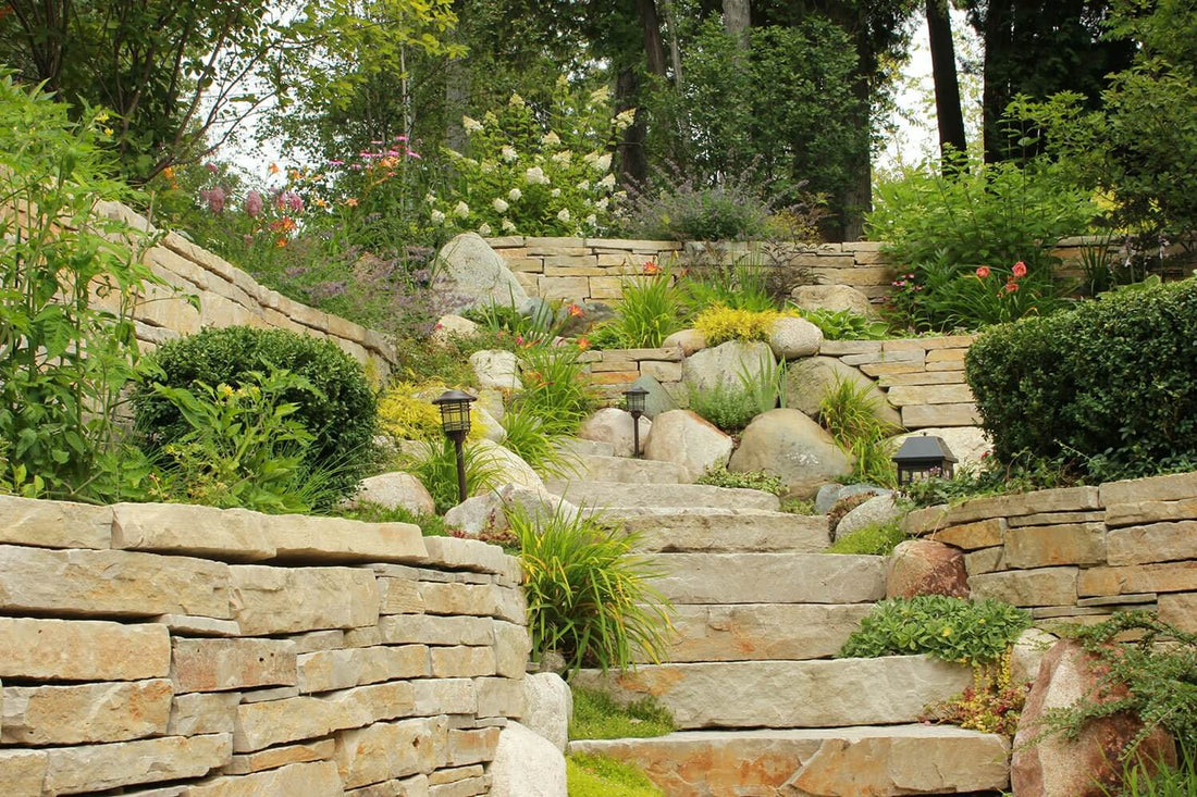 Pennsylvania Sedge | Great Garden Plants